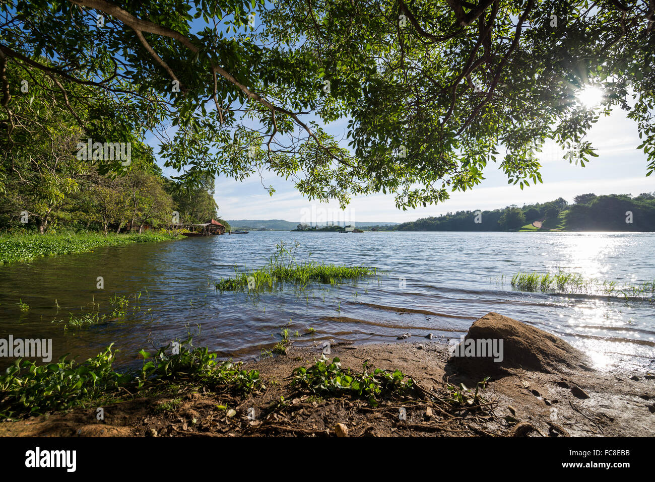 Nile at the source of the Nile in Jinja, Uganda, East Africa, Africa ...