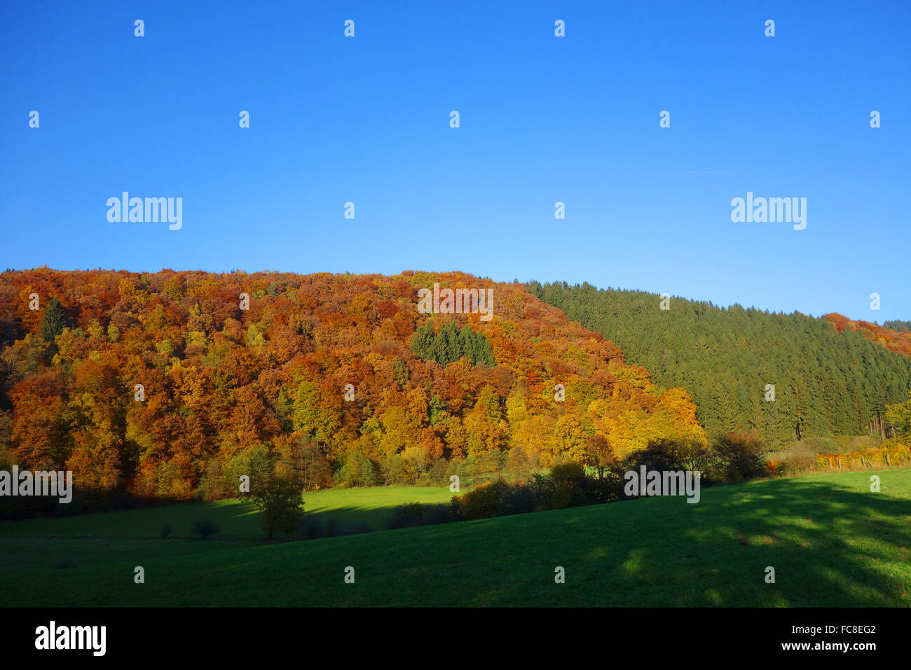 landscape in october Stock Photo - Alamy