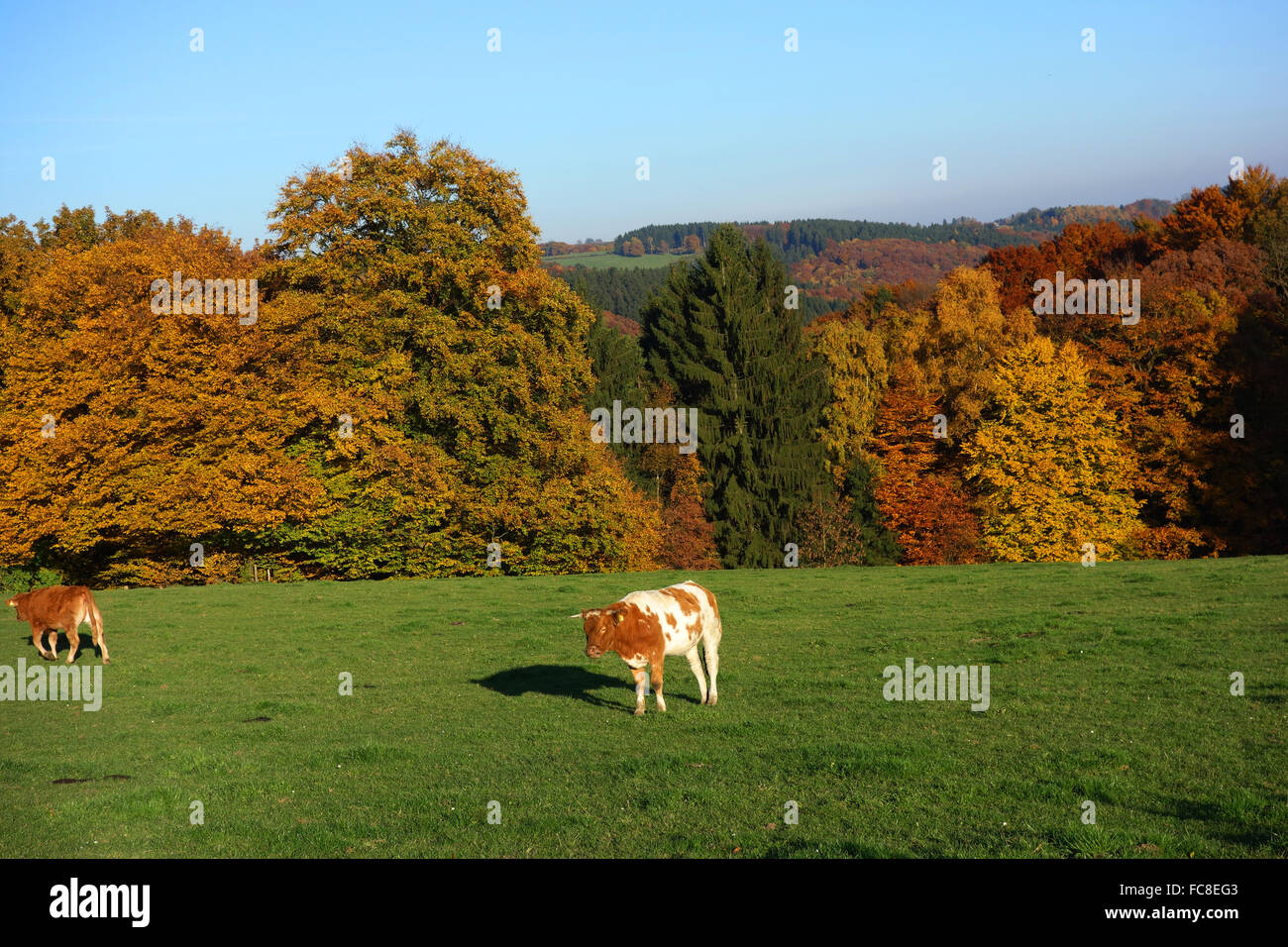 landscape in october Stock Photo - Alamy