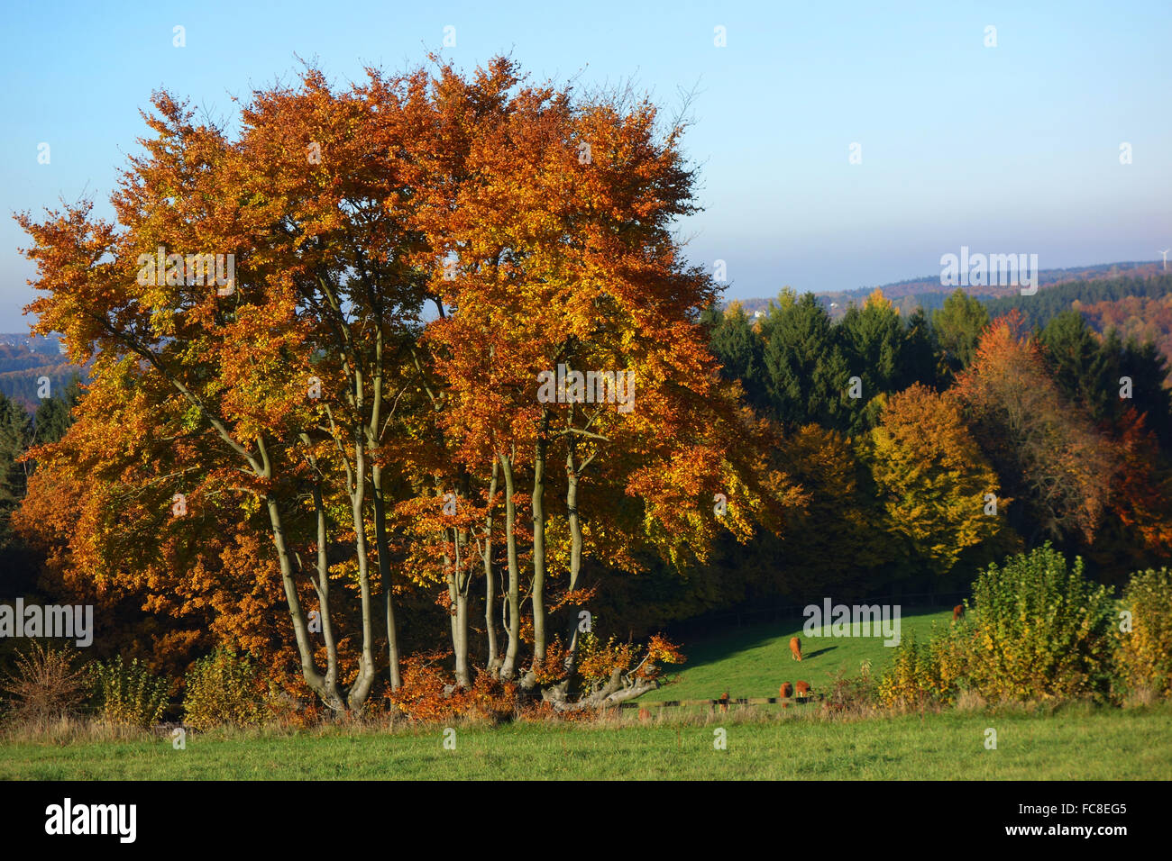 landscape in october Stock Photo - Alamy