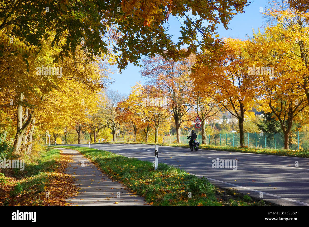 country road in autumn with biker Stock Photo - Alamy