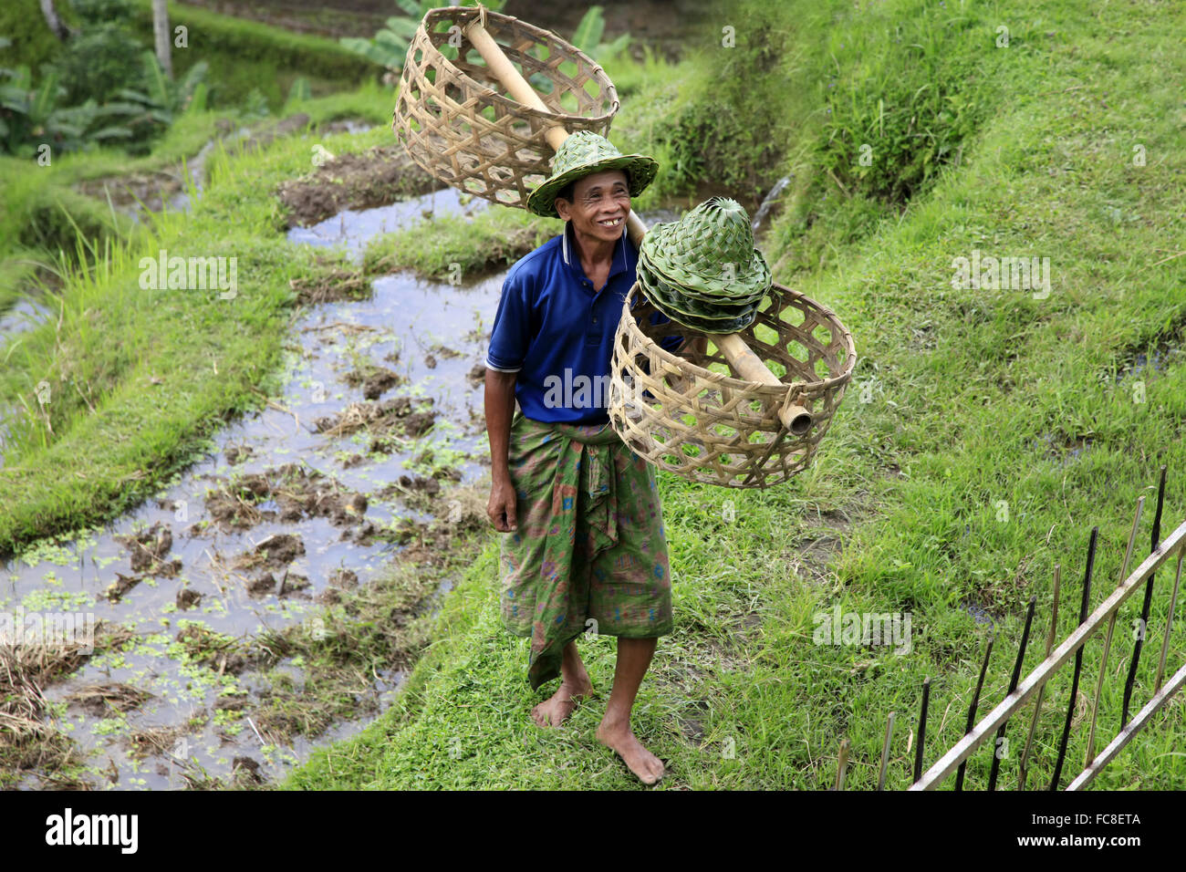Rice terrace cultivation hi-res stock photography and images - Alamy