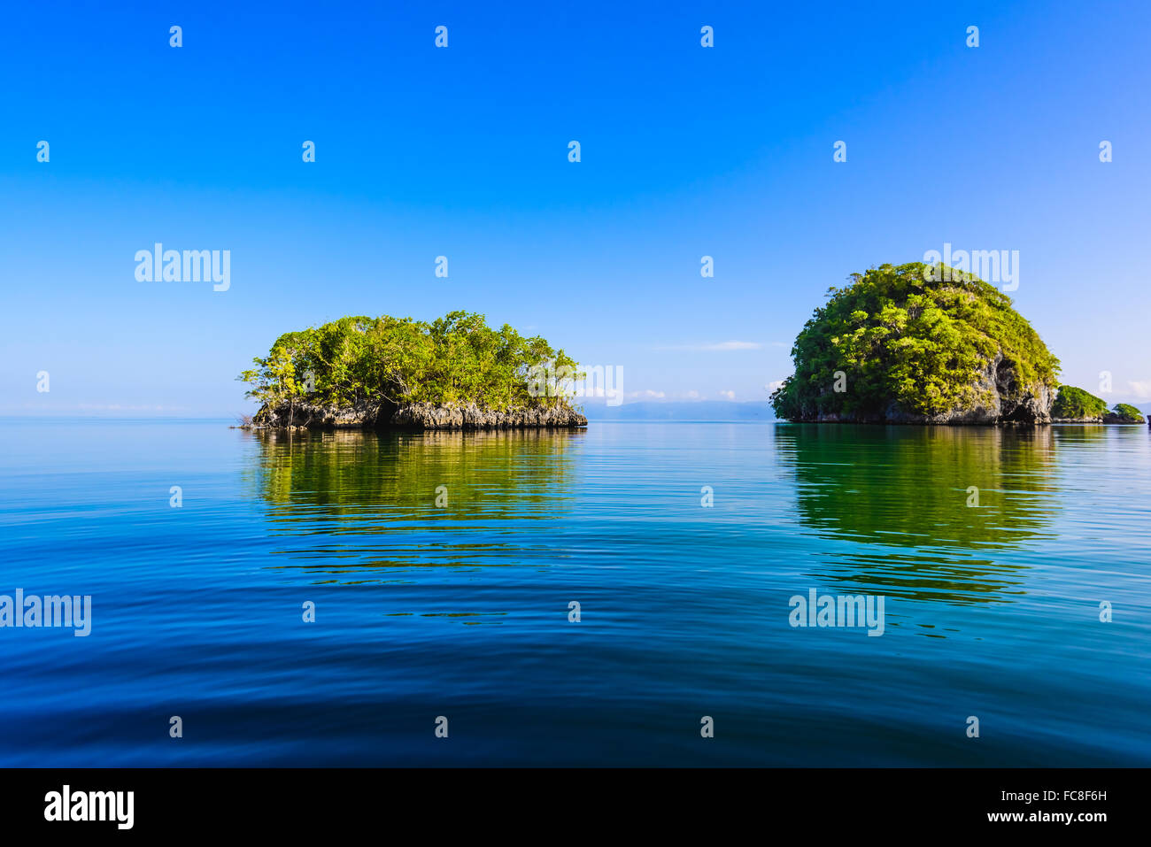 Floating island green tree hi-res stock photography and images - Alamy