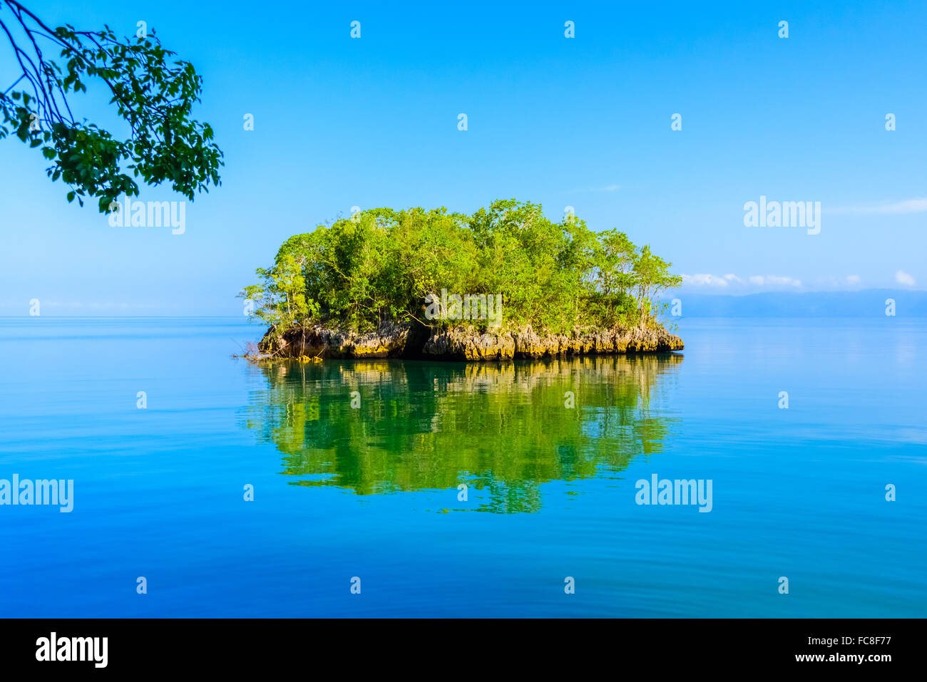 Tropical floating island hi-res stock photography and images - Alamy