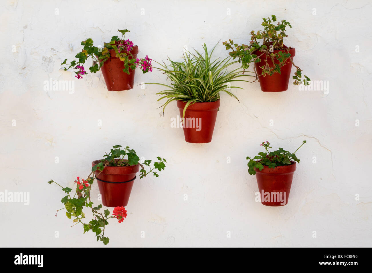 Flowers in pots in Plaza de los Naranjos Stock Photo - Alamy