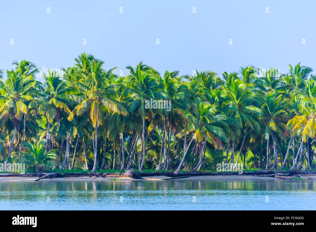 Nature scene ocean trees hi-res stock photography and images - Alamy