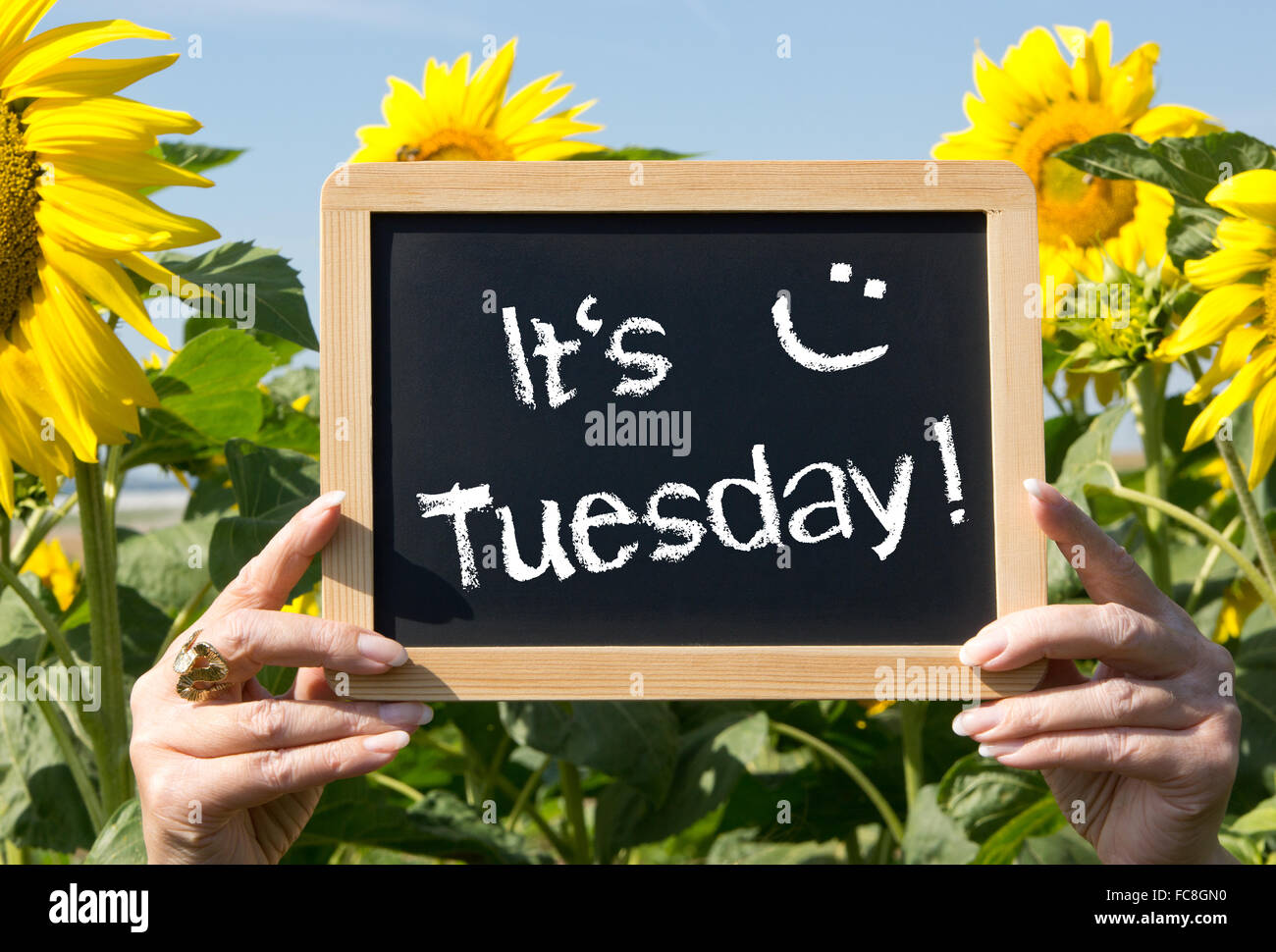 It is Tuesday Stock Photo - Alamy
