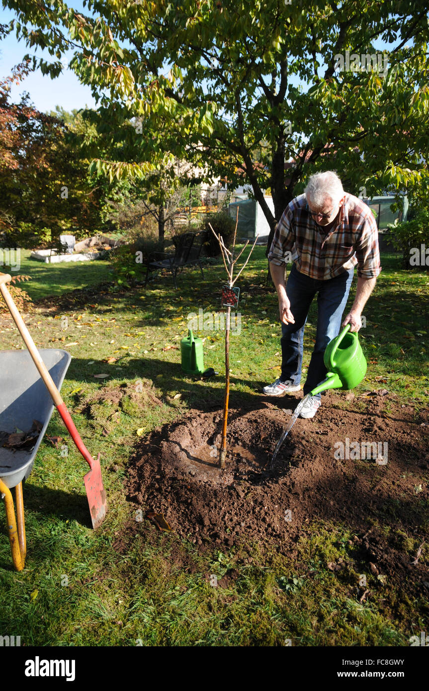 Tree planting hi-res stock photography and images - Alamy
