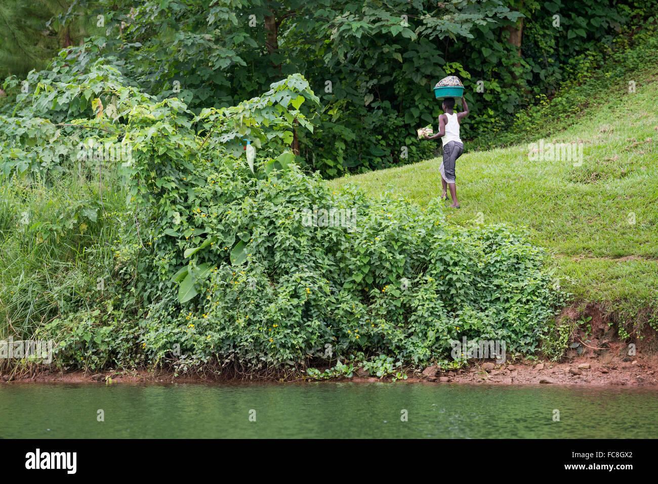 Local villagers washing and drying clothes by the river in Jinja ...