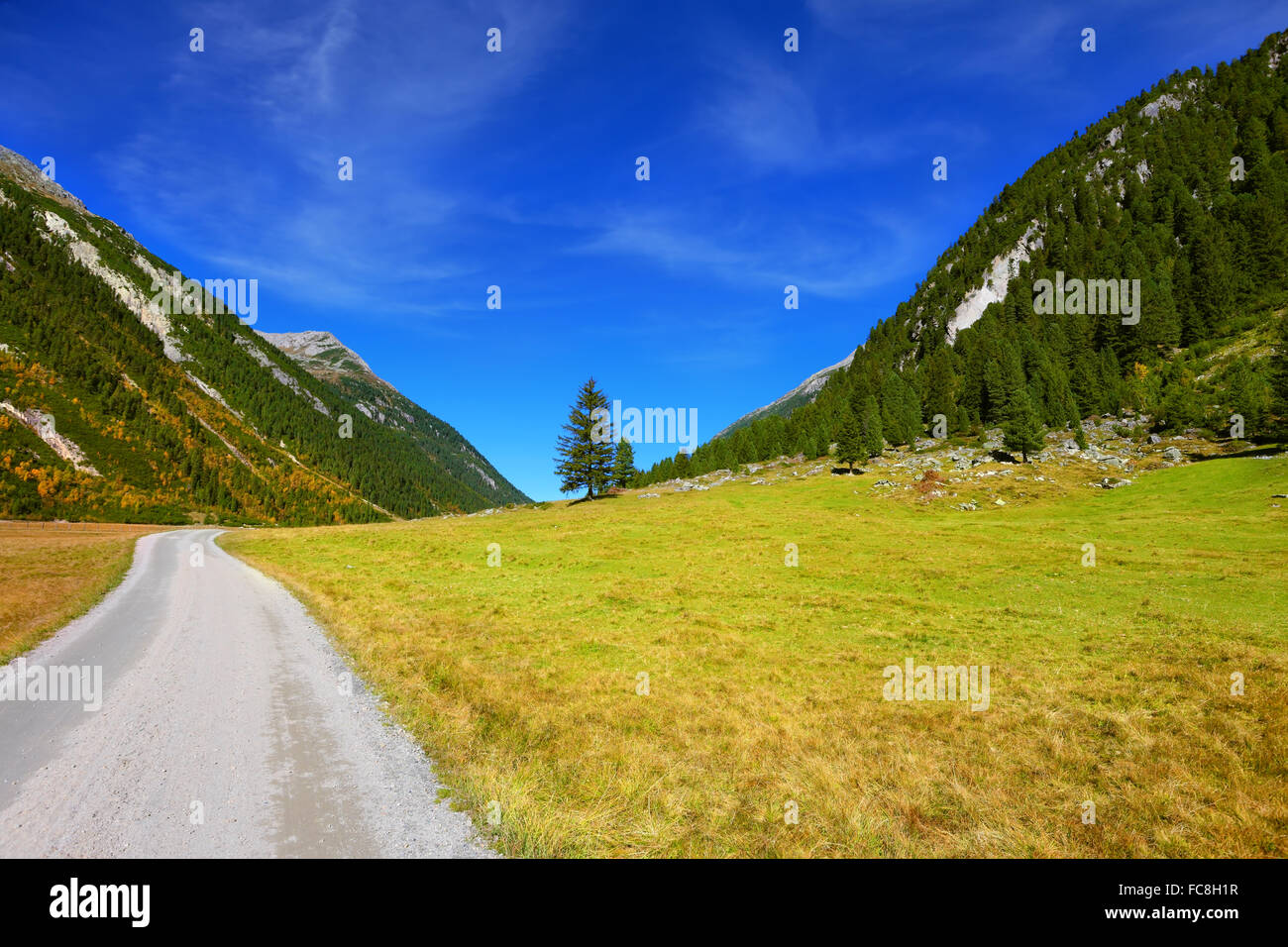 Wide dirt road Stock Photo - Alamy