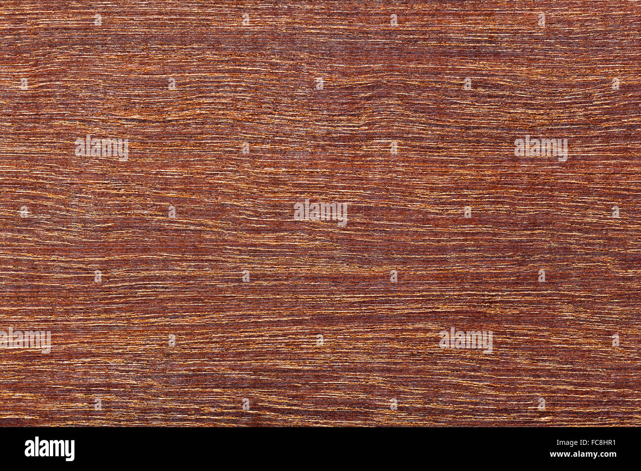 Timber frame cons hi-res stock photography and images - Alamy
