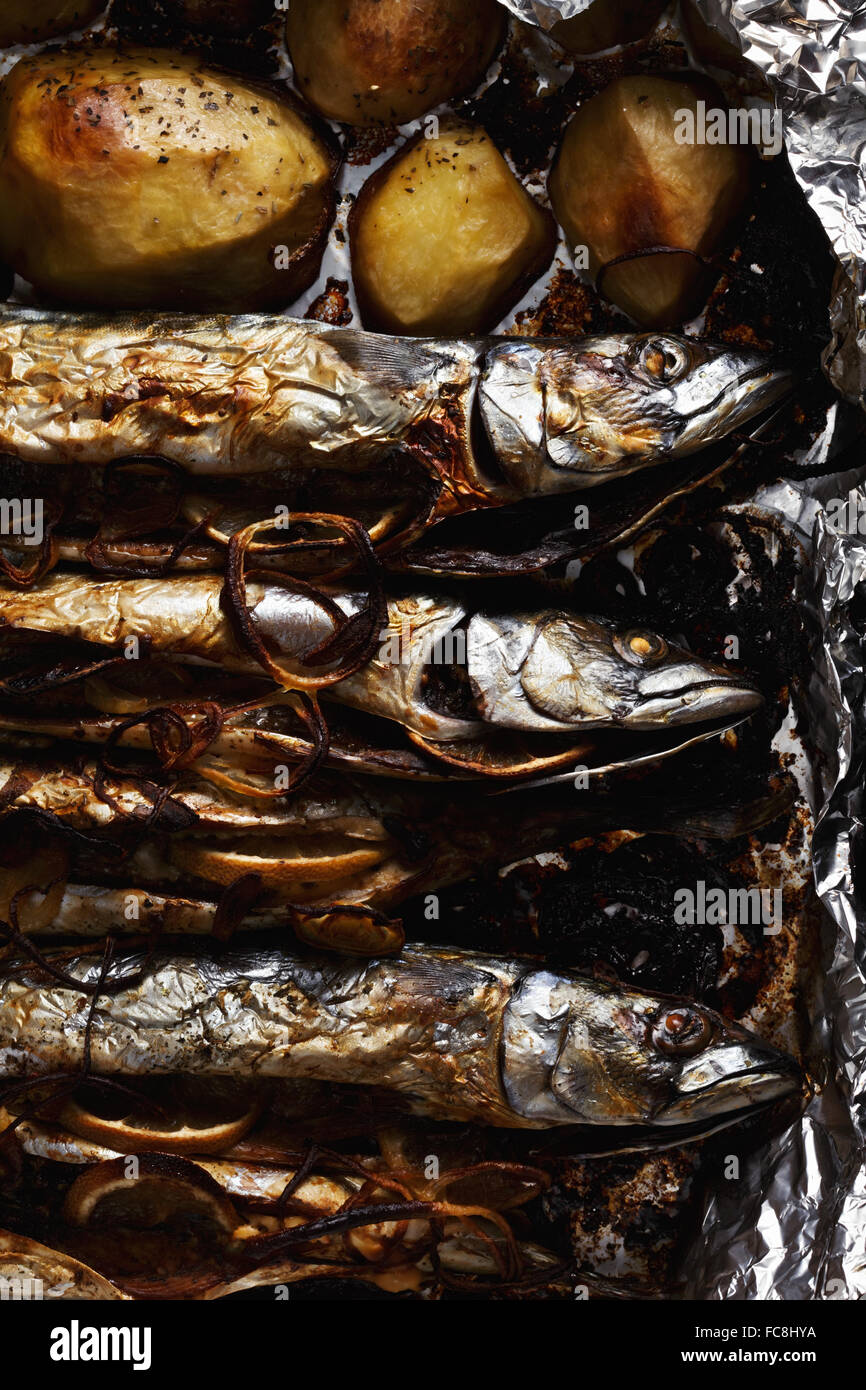 Mackerel and potatoes above view Stock Photo - Alamy