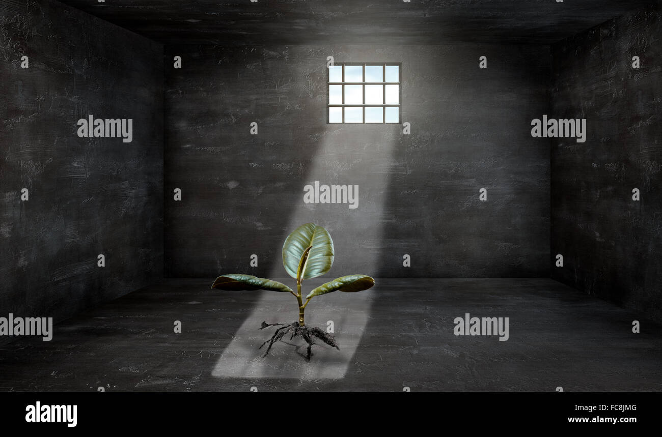 Prison ward hi-res stock photography and images - Alamy