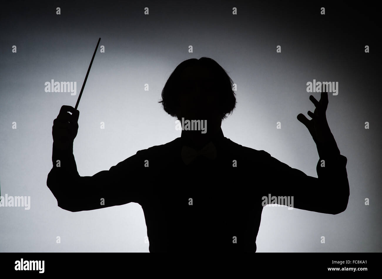 Funny conductor in musical concept Stock Photo - Alamy