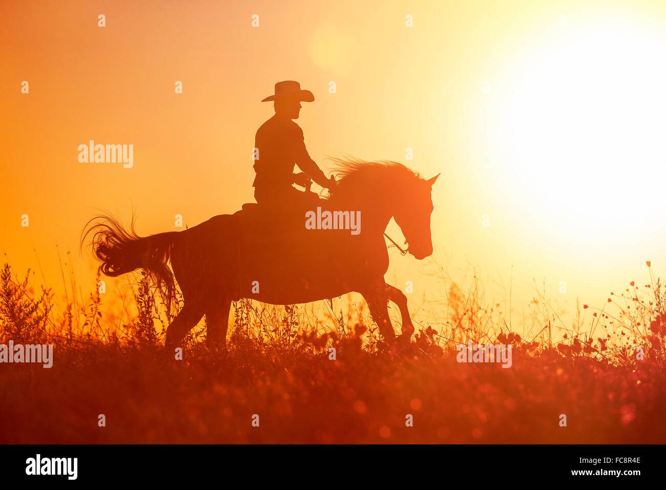 Silhouette man horse against sunset hi-res stock photography and images ...