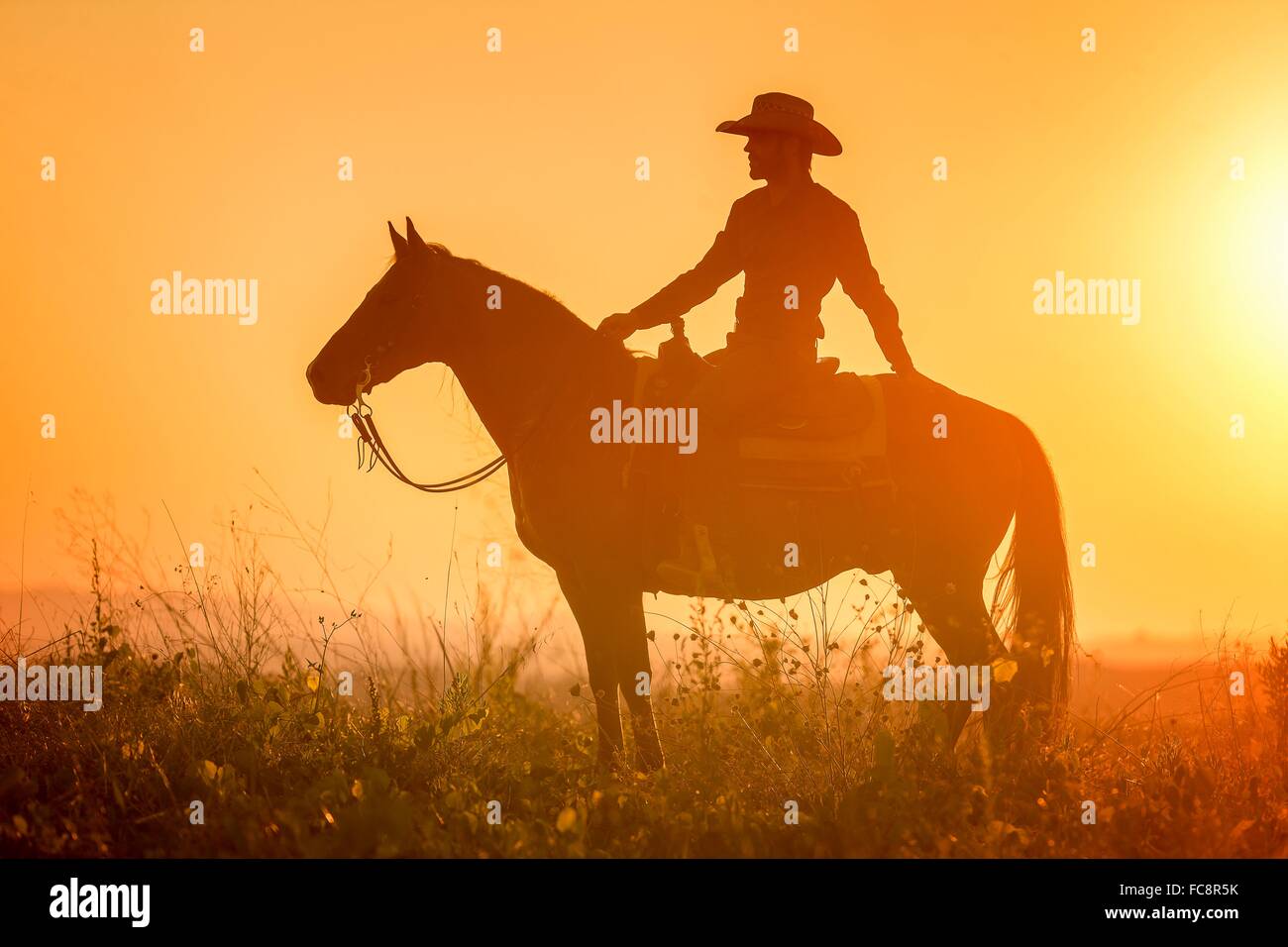 Silhouette man horse against sunset hi-res stock photography and images ...