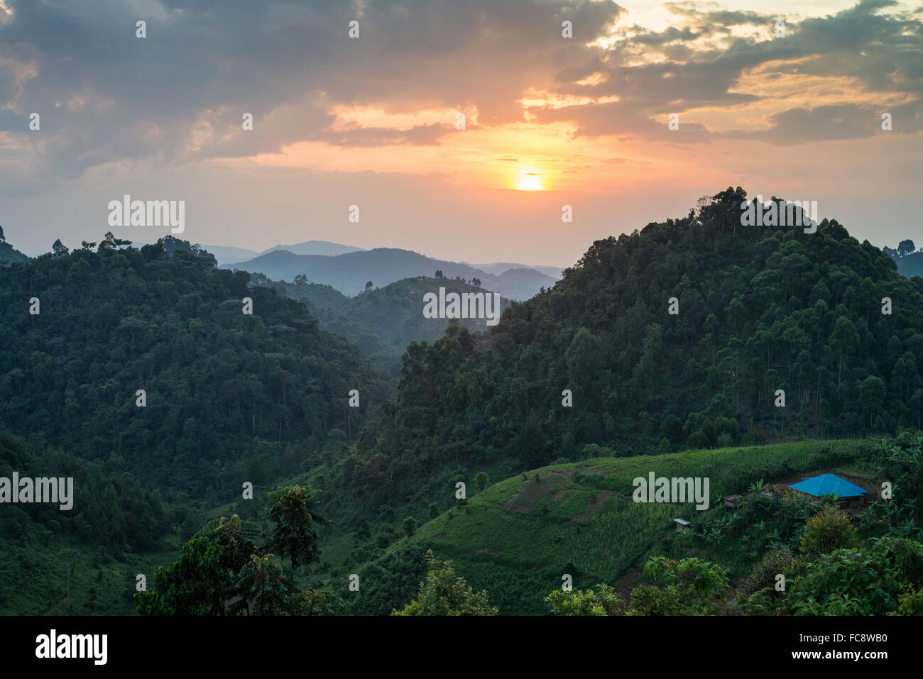 Congo landscape hi-res stock photography and images - Alamy