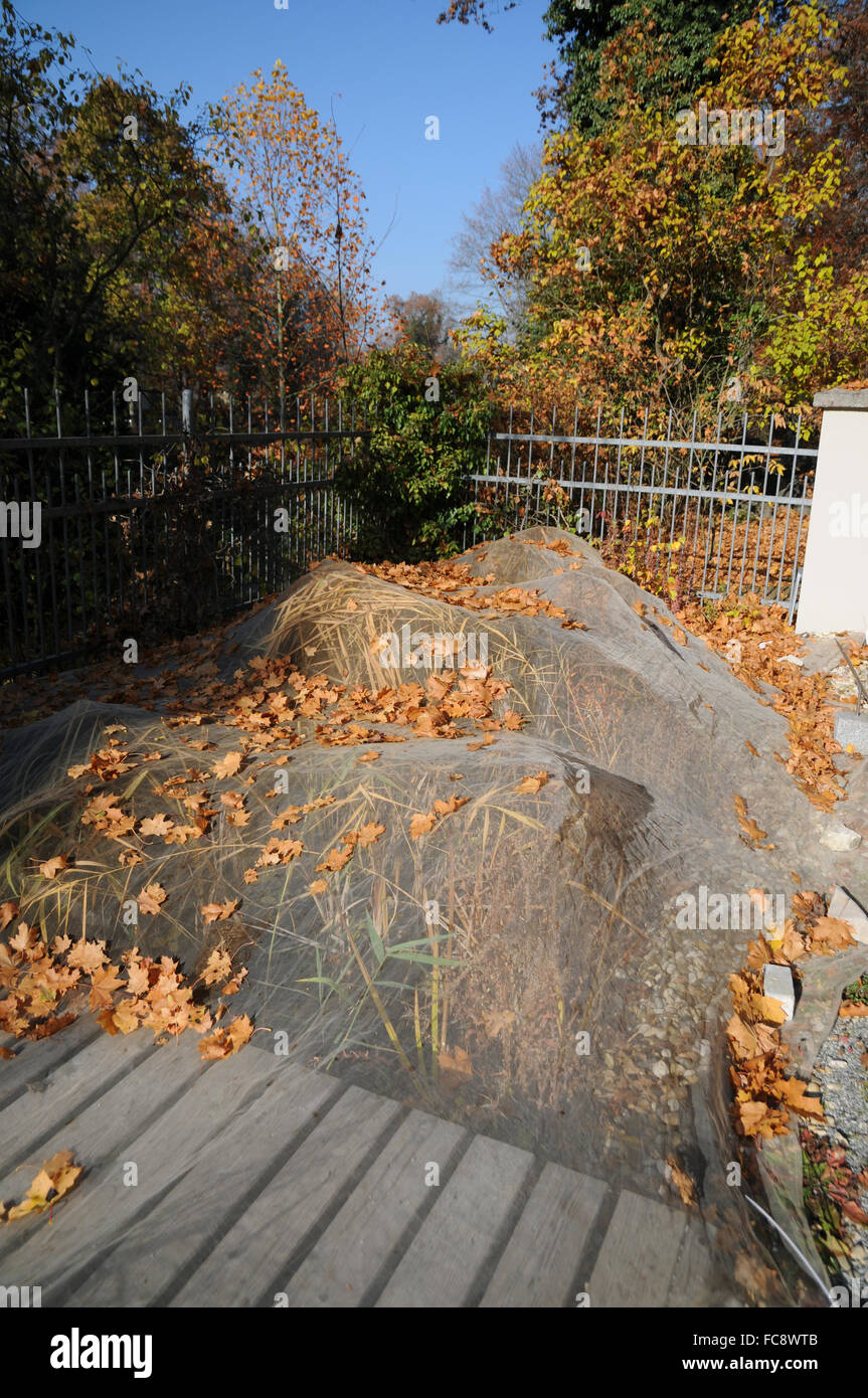 Pond with web Stock Photo - Alamy