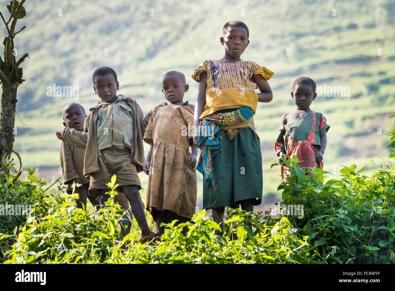 Uganda pygmies hi-res stock photography and images - Alamy