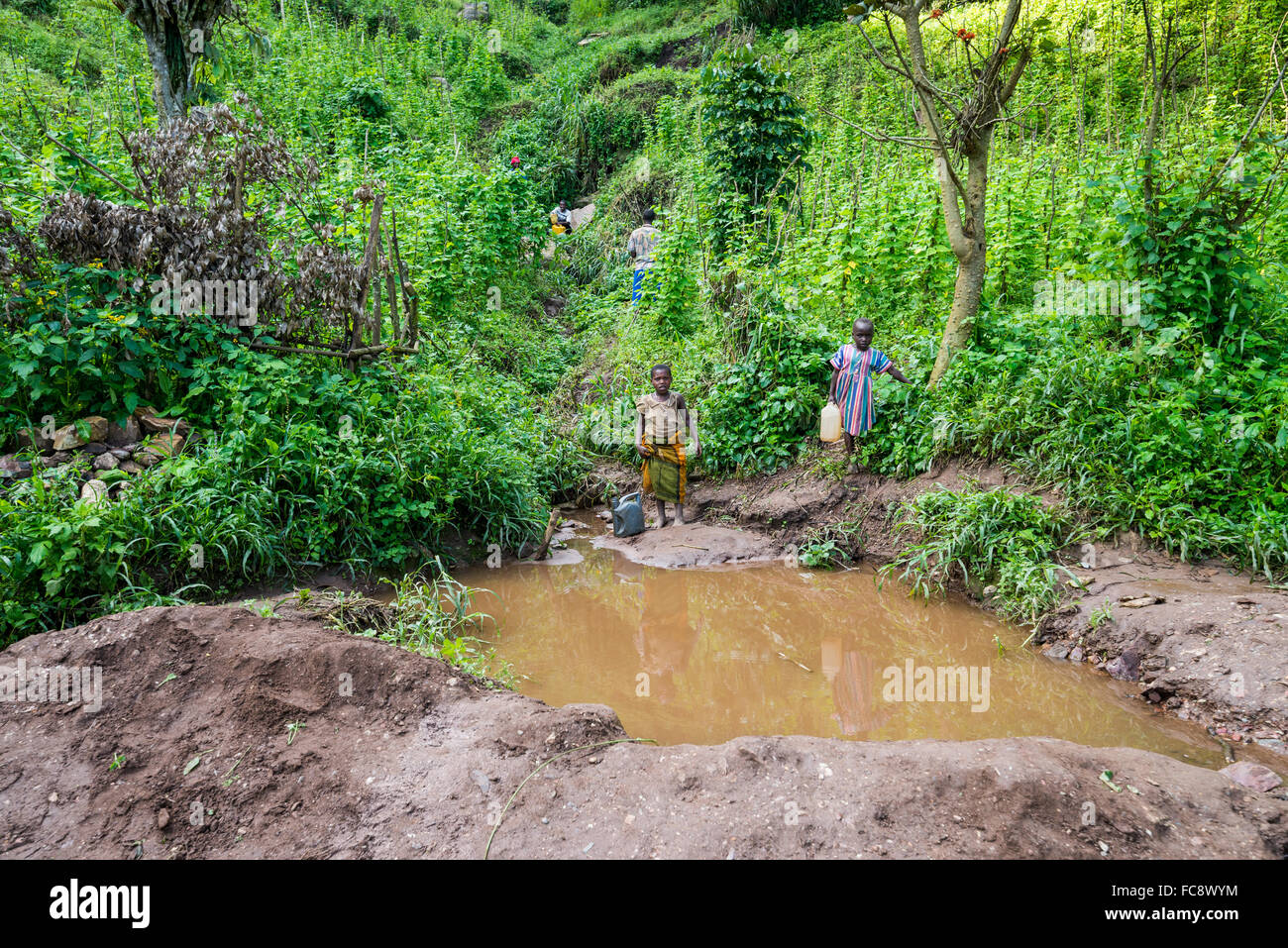 Amuria Stock Photos & Amuria Stock Images - Alamy