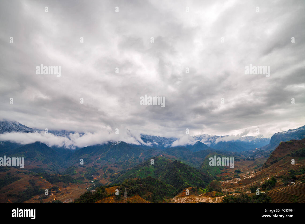 Sapa rice field hi-res stock photography and images - Alamy