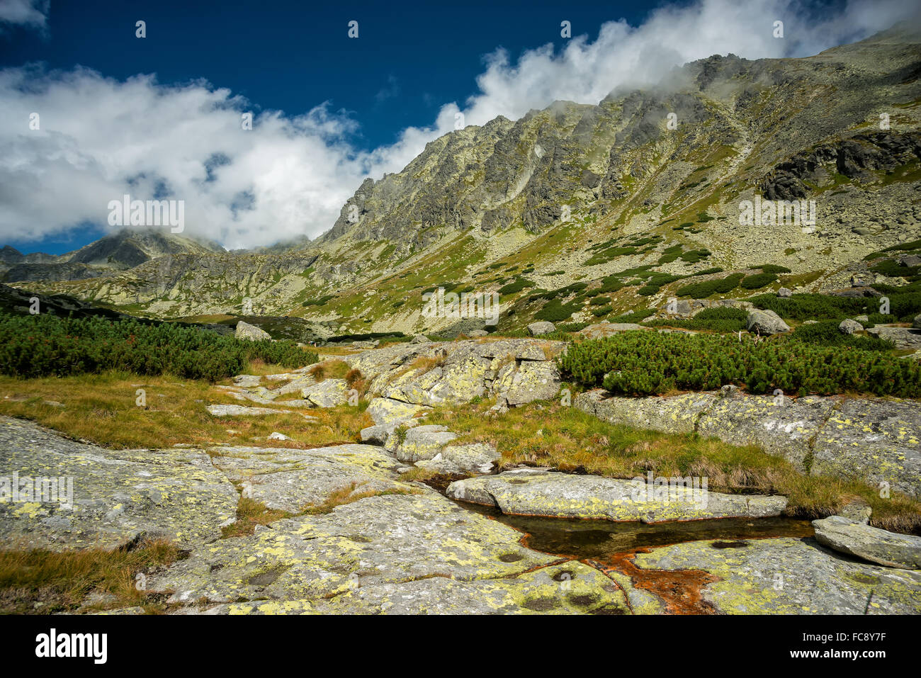 Berge tatra hi-res stock photography and images - Alamy