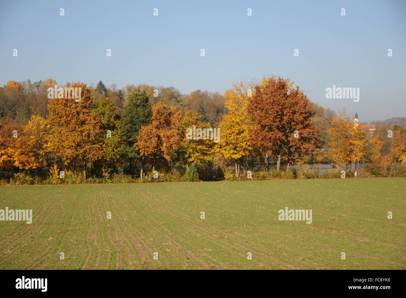 Oak lea hi-res stock photography and images - Alamy