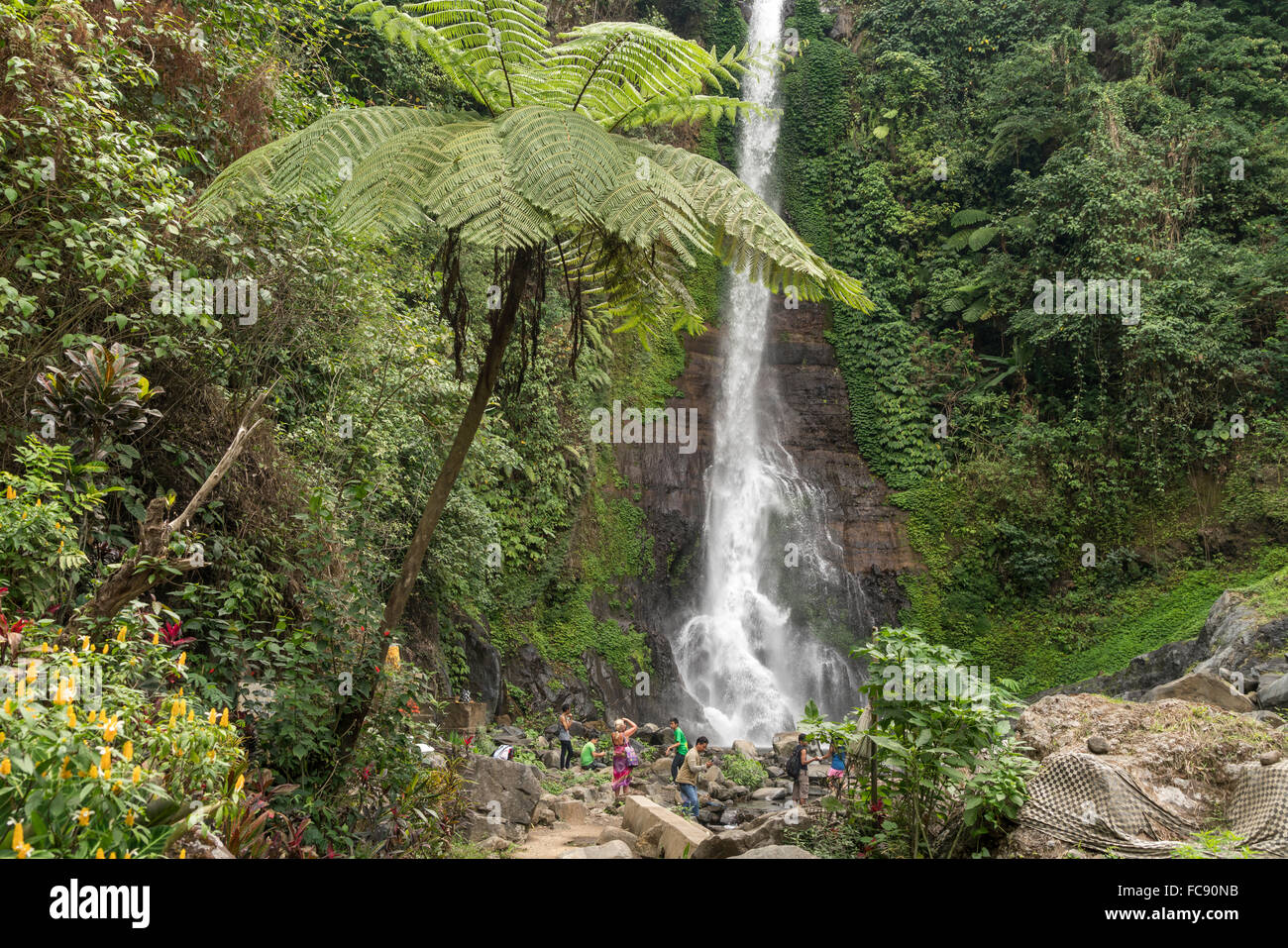 tourists watching the Gitgit Waterfall, Bali, Indonesia Stock Photo - Alamy