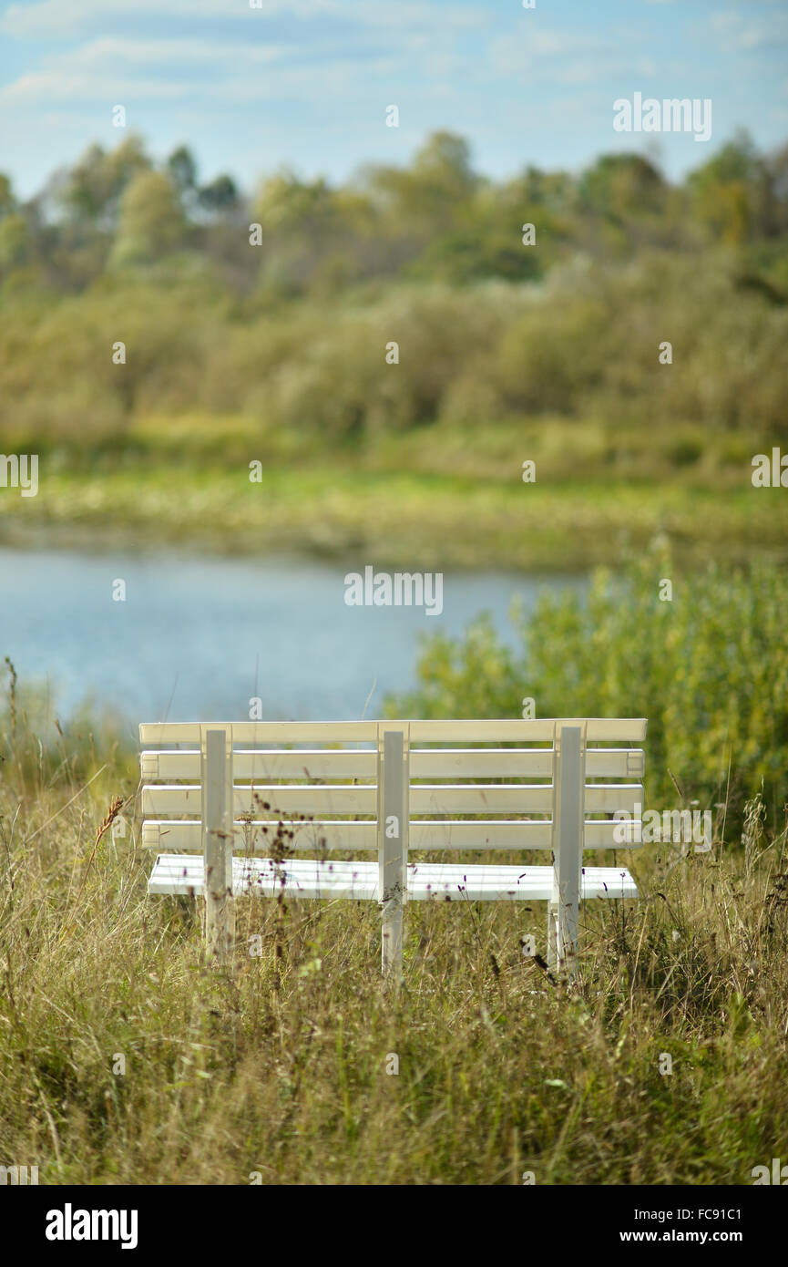 Empty bench near lake Stock Photo - Alamy