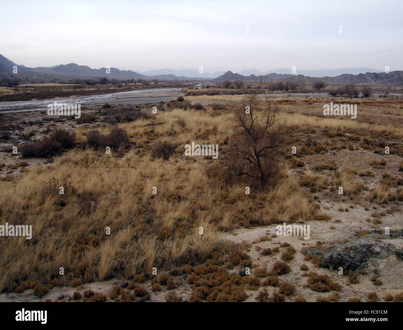 Lop nor hi-res stock photography and images - Alamy