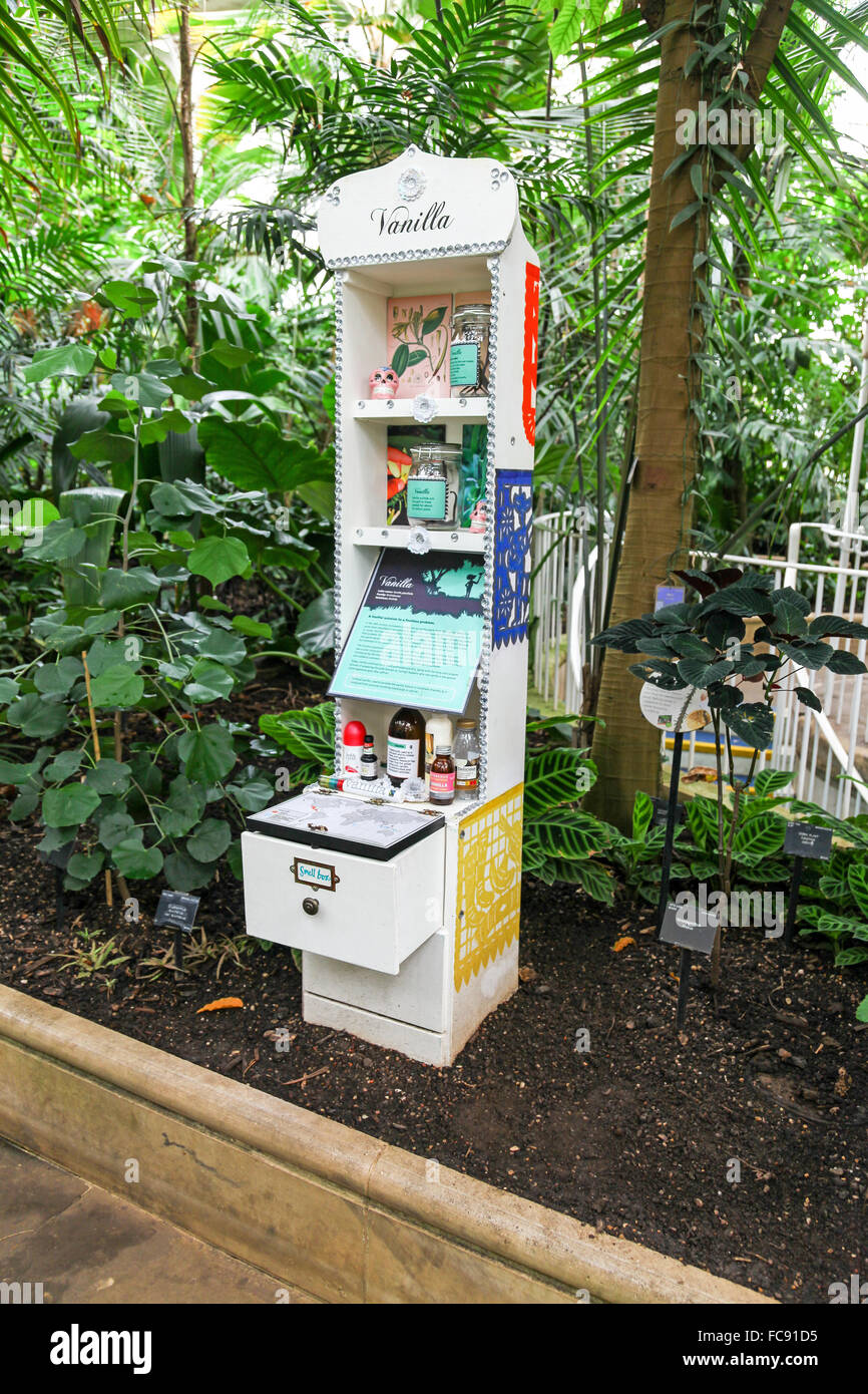 A Vanilla display at the Full of Spice Summer Festival 2015 Palm House ...