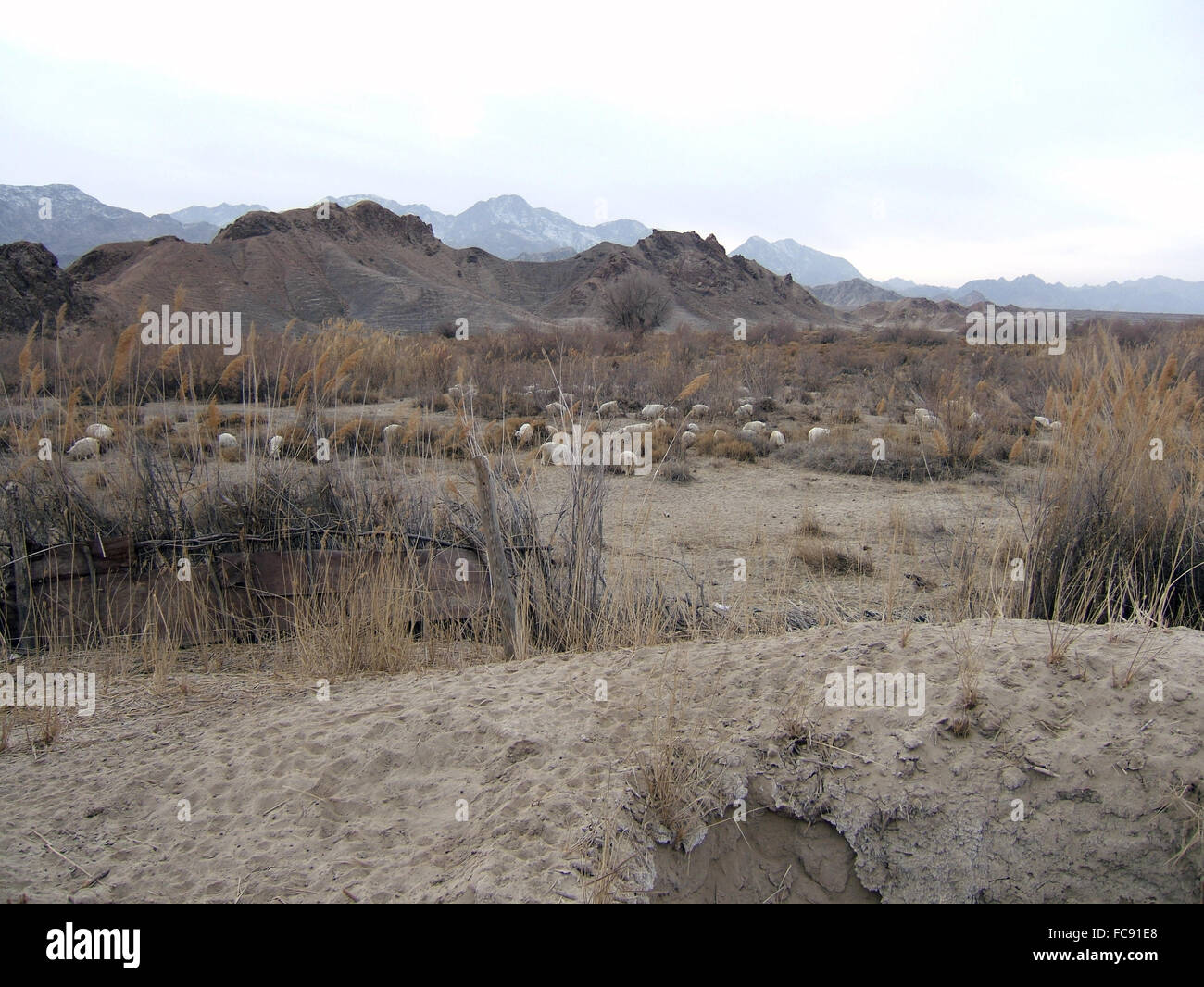 Lop Nor Xinjiang Stock Photo - Alamy