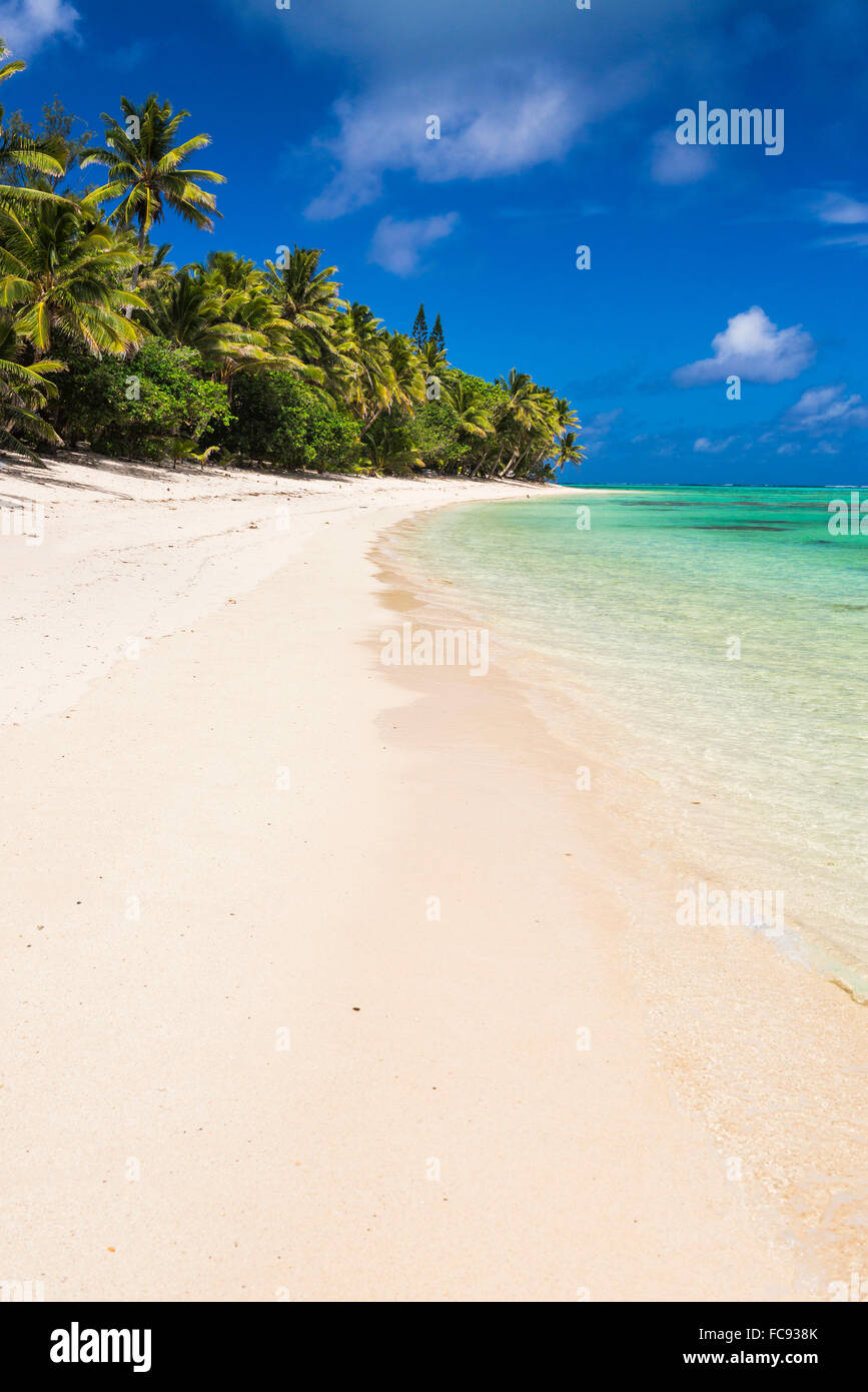 White sandy beach and palm trees on tropical Rarotonga Island, Cook ...