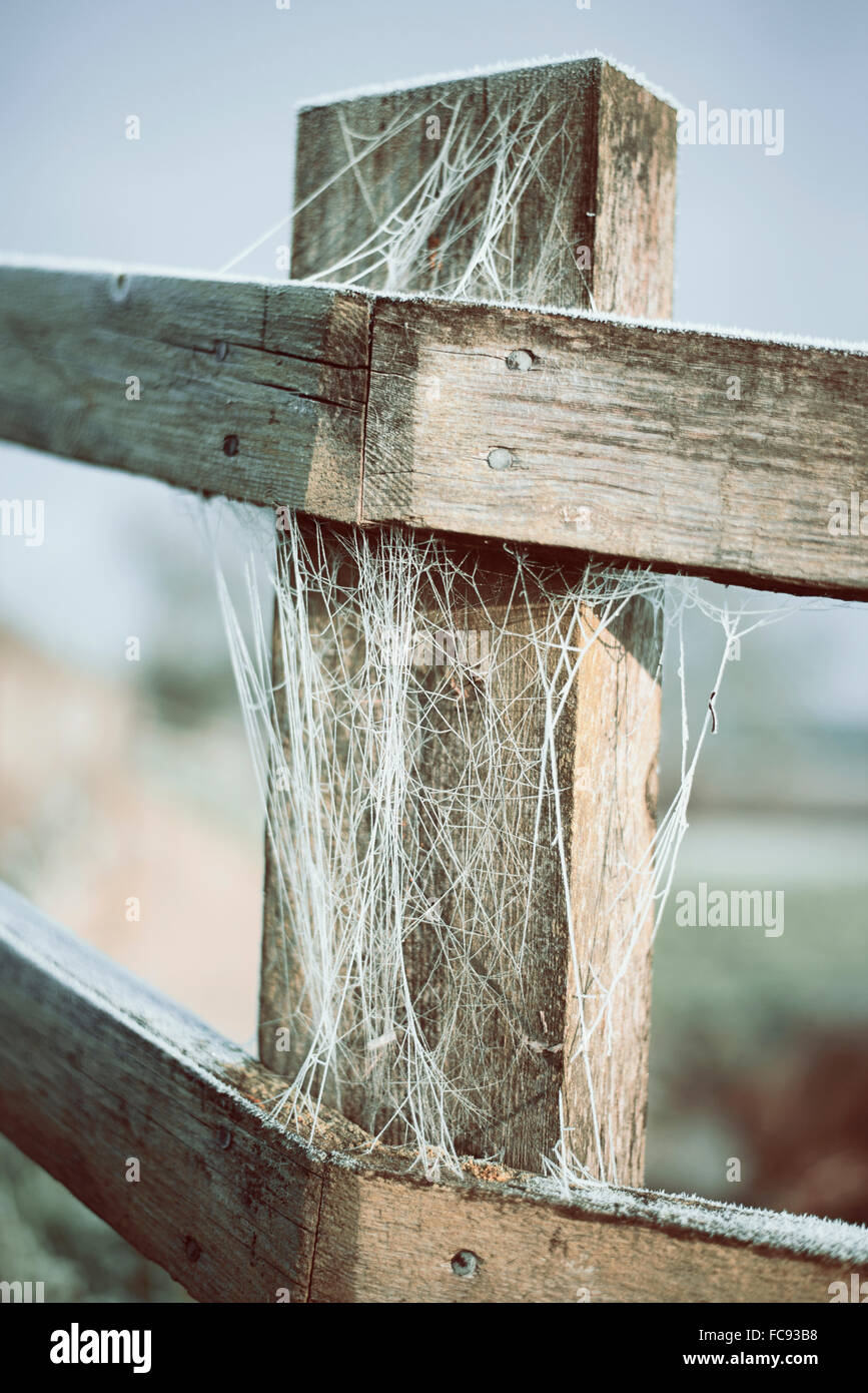 Cobweb ice frost hi-res stock photography and images - Alamy