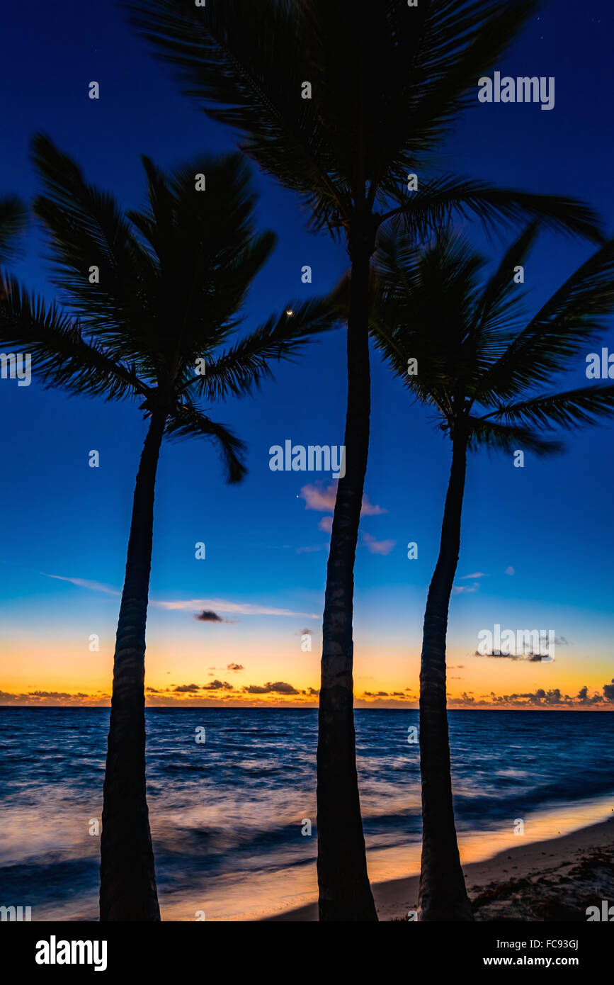 sunset silhouette of palm trees Stock Photo - Alamy