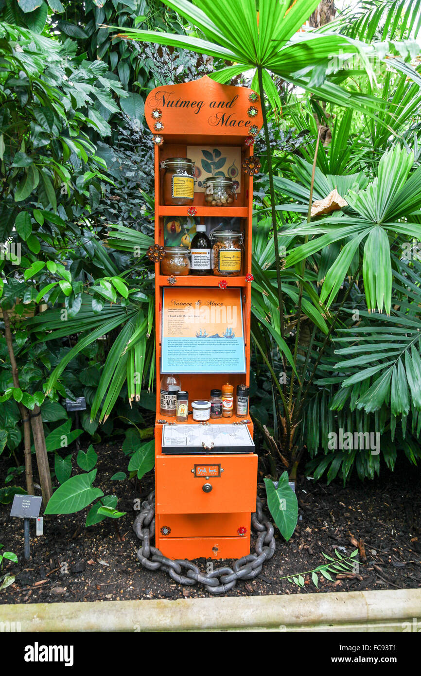 A Nutmeg and mace display at the Full of Spice Summer Festival Palm ...