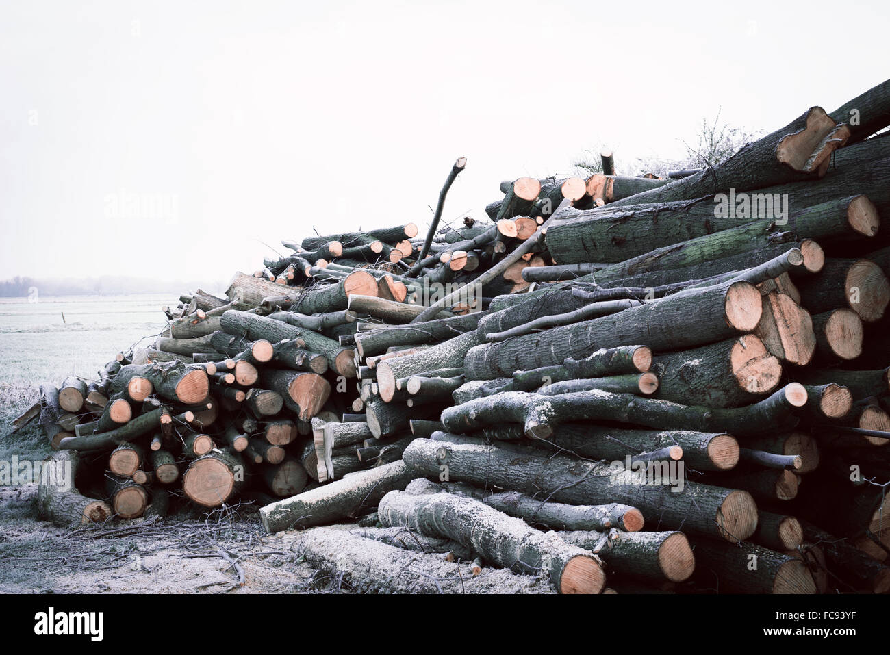 Tree logs in ice hi-res stock photography and images - Alamy
