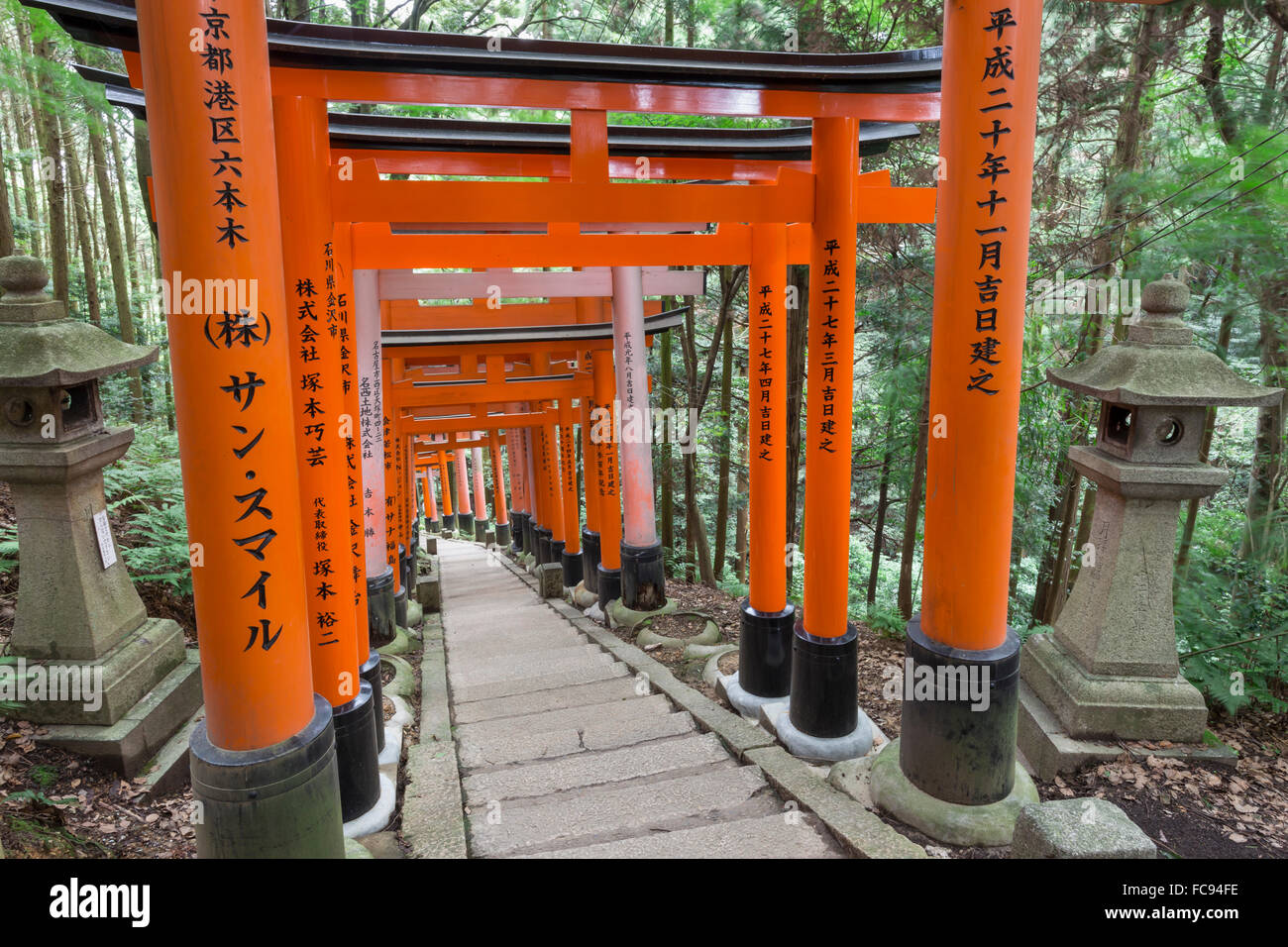 Fushimi Inari Taisha, Shinto shrine, vermilion torii gates line paths ...