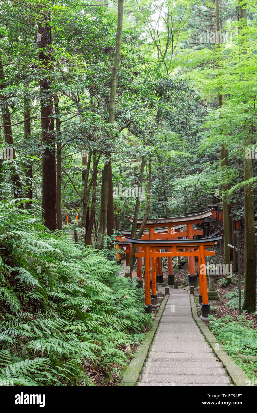 Fushimi Inari Taisha, Shinto shrine, vermilion torii gates line paths ...