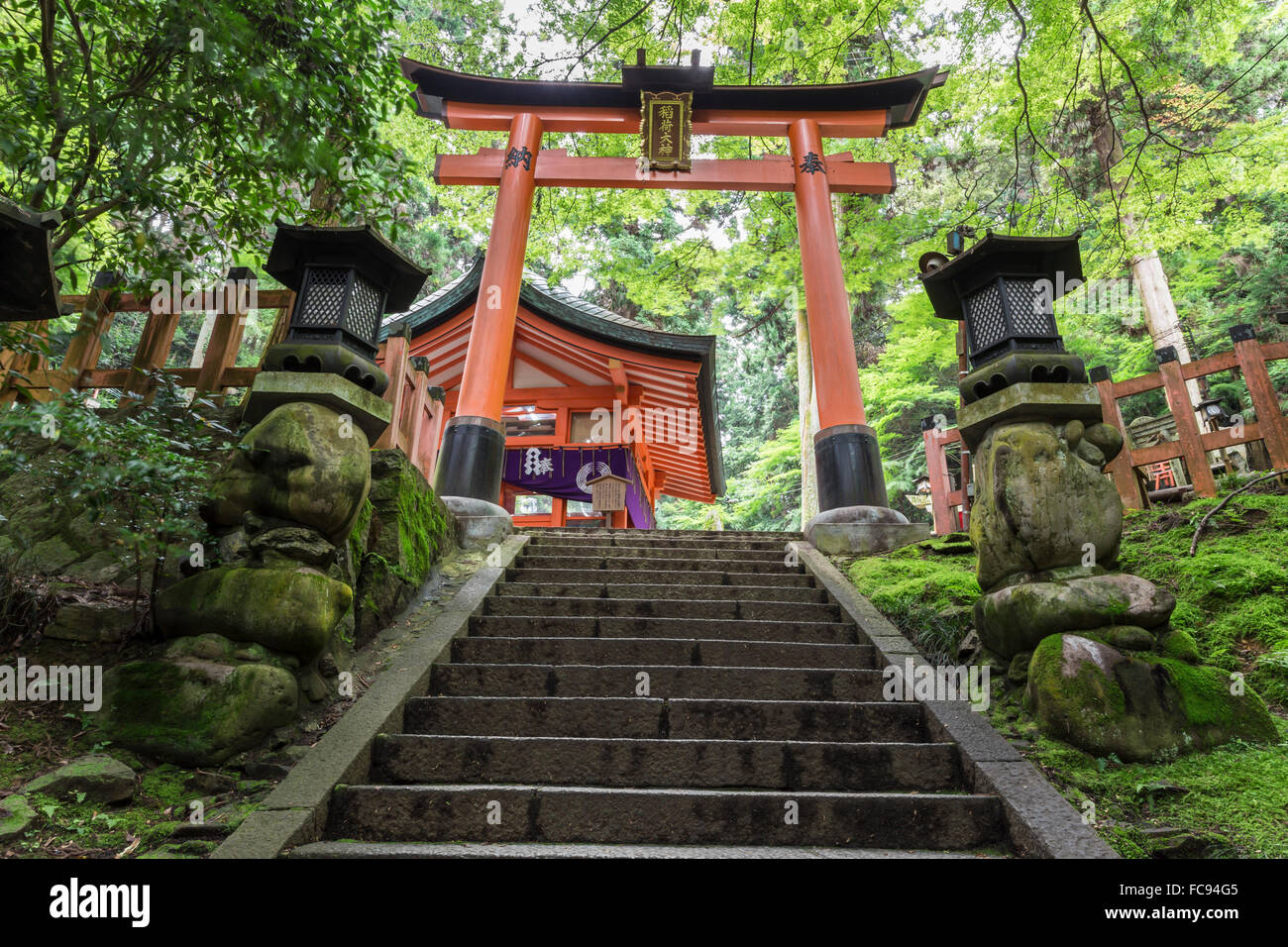 Moss covered Shinto shrine surrounded by thick forest in summer ...