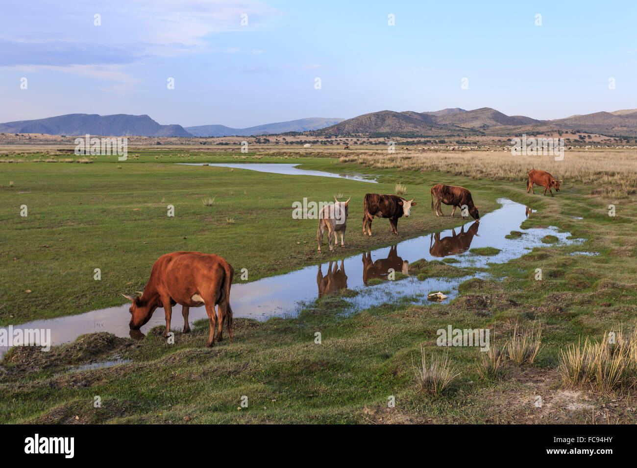 Pool with mountains hi-res stock photography and images - Alamy