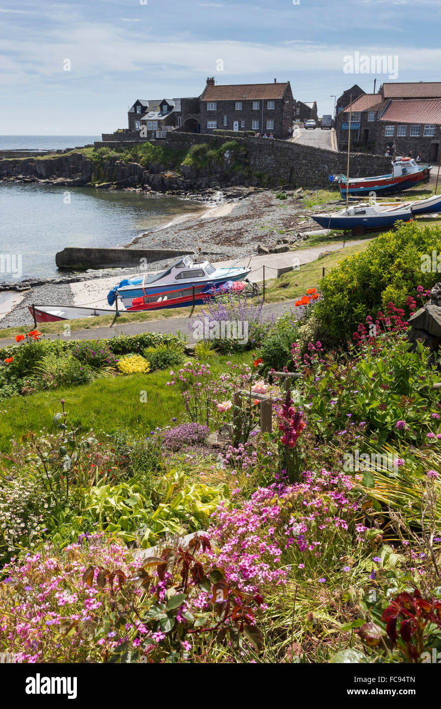 Craster harbour and village hi-res stock photography and images - Alamy