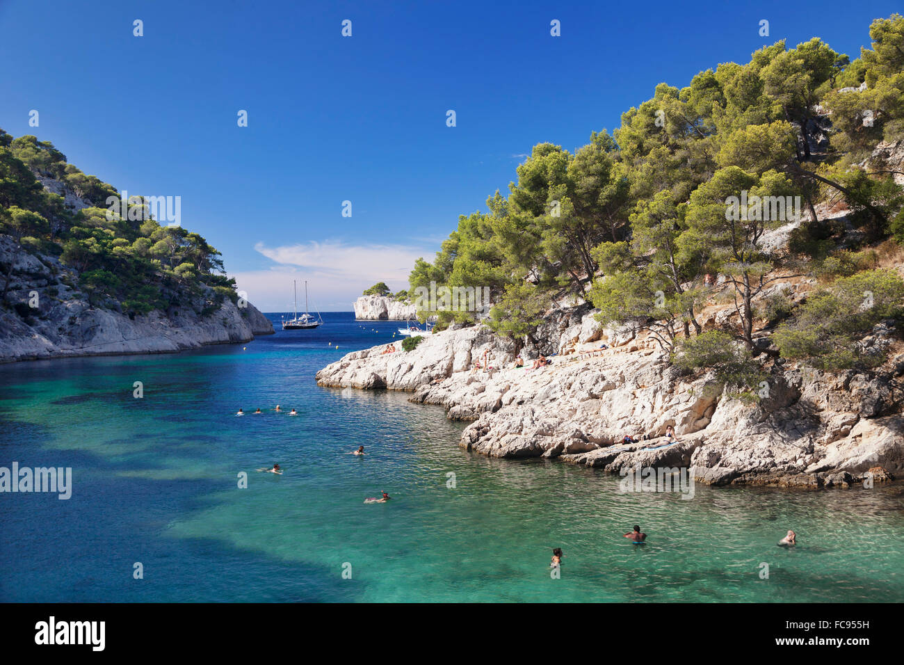 Les Calanques Port Pin, National Park, Cassis, Provence, Provence-Alpes ...