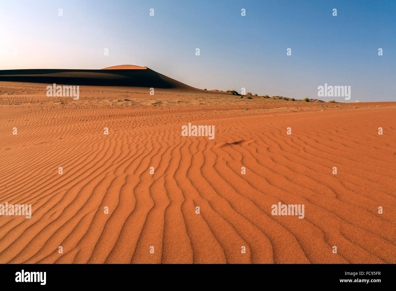 Dune shapes hi-res stock photography and images - Alamy