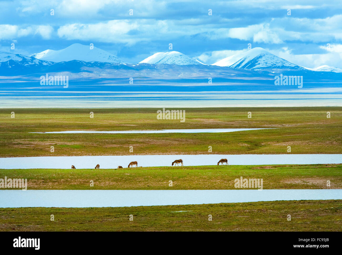 Qinghai Tibet Road Stock Photo - Alamy