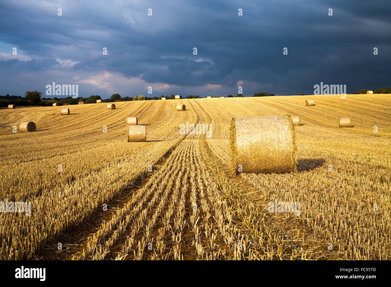 Field Of Baled Hay High Resolution Stock Photography and Images - Alamy