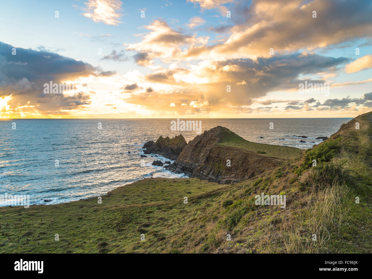 Hartland devon heritage coast hi-res stock photography and images - Alamy