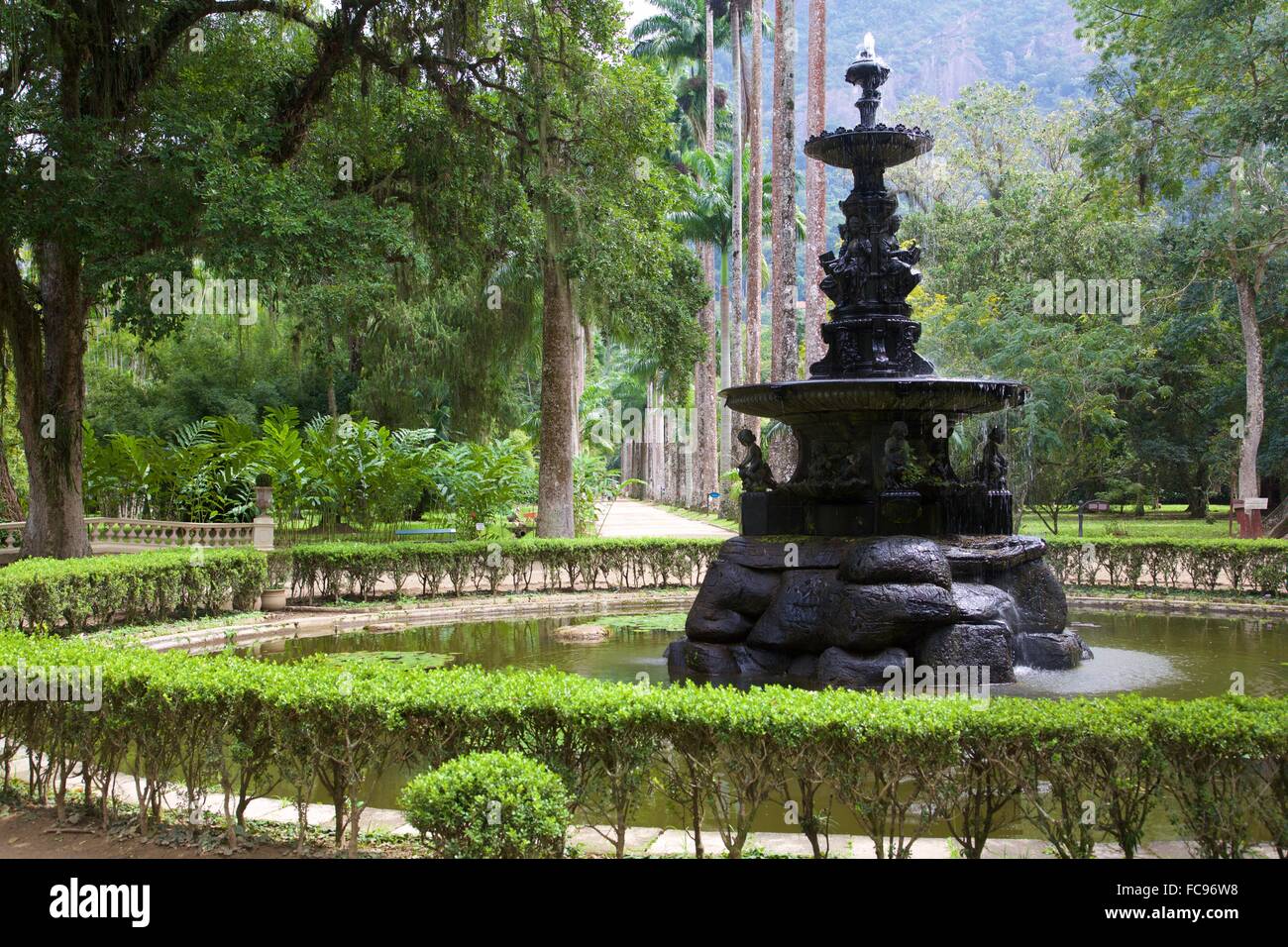 The Botanical Gardens, Rio de Janeiro, Brazil, South America Stock ...