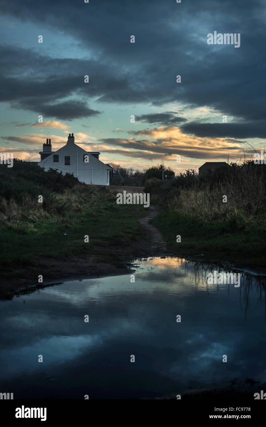 Puddle on the path Stock Photo - Alamy