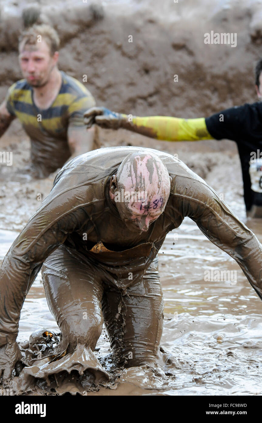 Muddy runners at obstacle course race, UK Stock Photo - Alamy